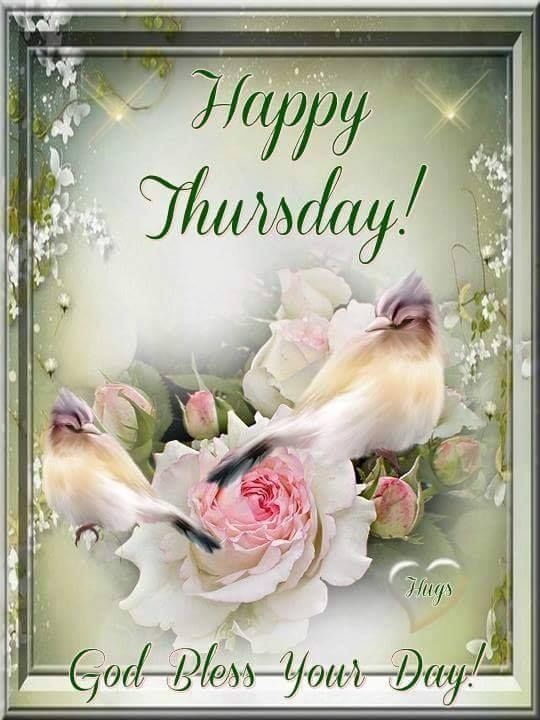 Floral Birdy Happy Thursday! Pictures, Photos, and Images for Facebook ...