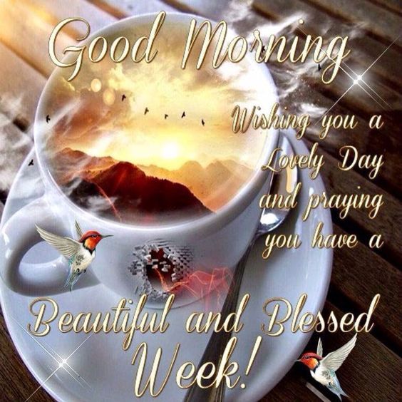 Beautiful Hummingbird Good Morning Quote Pictures, Photos, and Images ...