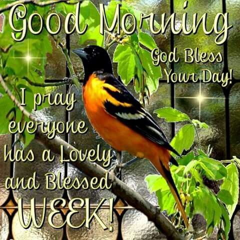 Prayer For A Lovely And Blessed Week Pictures, Photos, and Images for ...