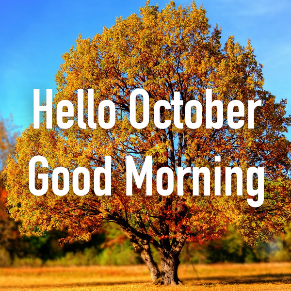 Tree Hello October Good Morning Pictures, Photos, and Images for ...