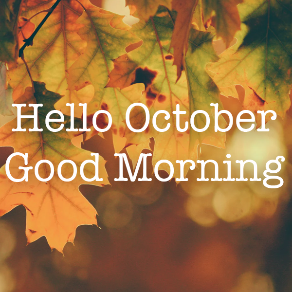 Dangling Leaves Hello October Good Morning Pictures, Photos, and Images ...