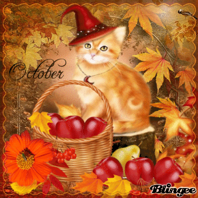 Witch Cat October Quote Pictures, Photos, and Images for Facebook ...