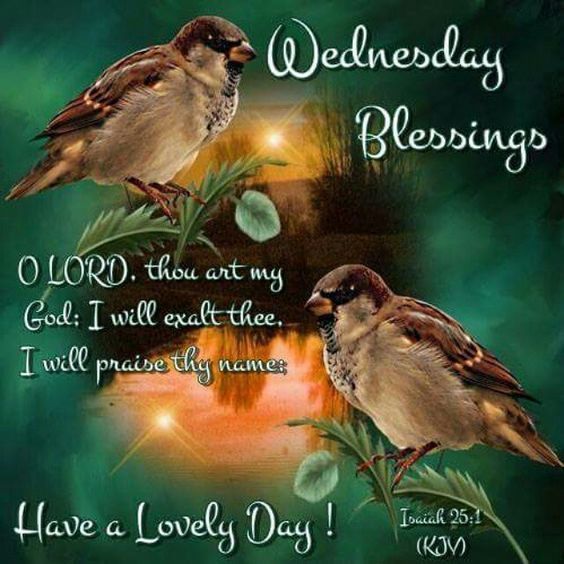 Twin Bird Wednesday Blessings Pictures, Photos, and Images for Facebook ...