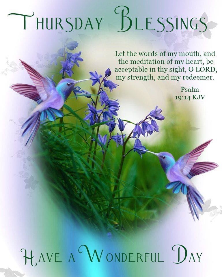 Twin Hummingbird Thursday Blessings Pictures, Photos, and Images for ...