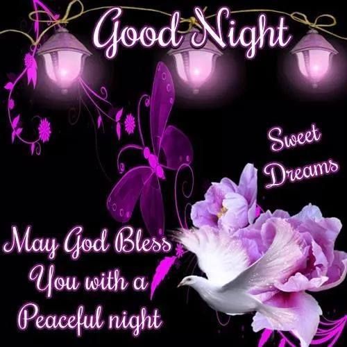 Goodnight Pictures, Photos, and Images for Facebook, Tumblr, Pinterest ...