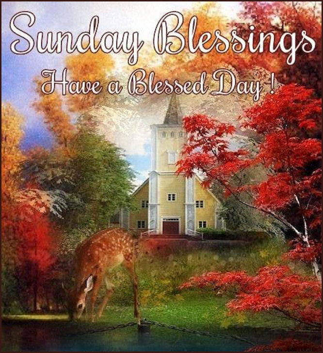 Autumn Deer Sunday Blessings Pictures, Photos, and Images for Facebook ...