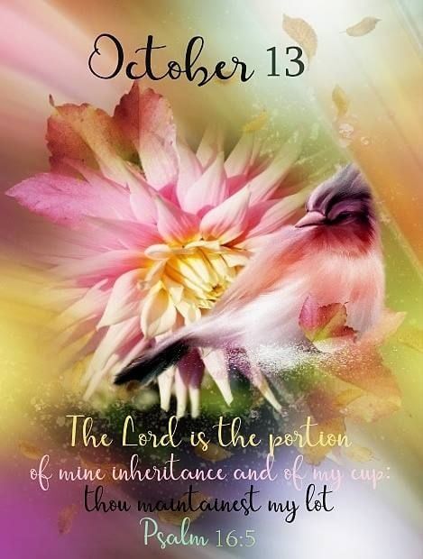 October 13 Pictures, Photos, and Images for Facebook, Tumblr, Pinterest ...