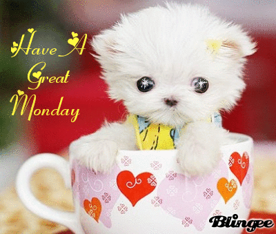 Teacup Great Monday Gif Pictures, Photos, and Images for Facebook ...