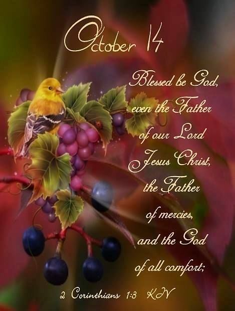 October 14 Pictures, Photos, and Images for Facebook, Tumblr, Pinterest ...