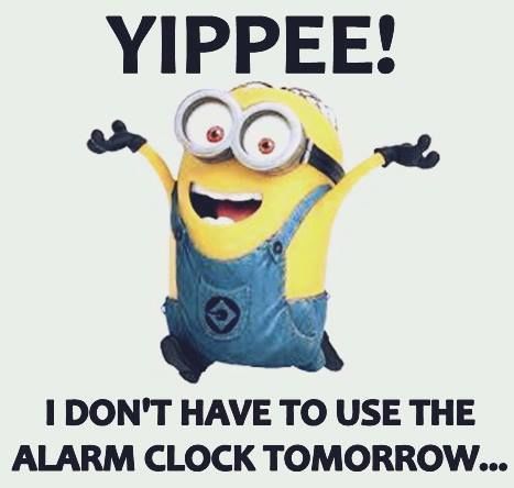 Yippee! I Dont Have To Use The Alarm Clock Tomorrow Pictures, Photos ...