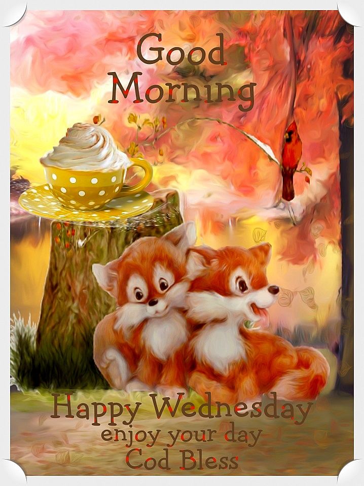 Fox Good Morning Happy Wednesday Pictures, Photos, and Images for ...