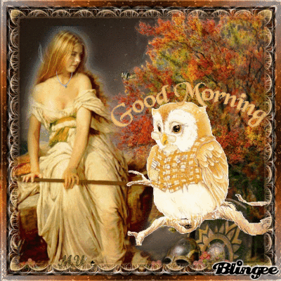 Blinking Owl Good Morning Gif Pictures, Photos, and Images for Facebook ...