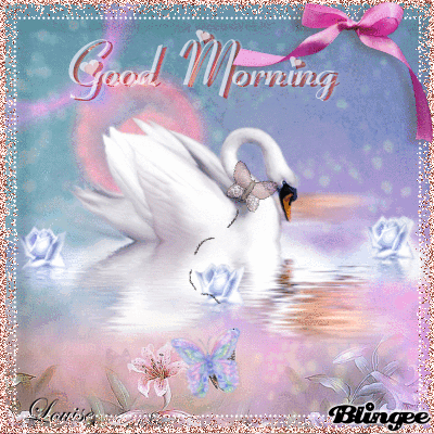 White Swan Good Morning Quotes Pictures, Photos, and Images for ...