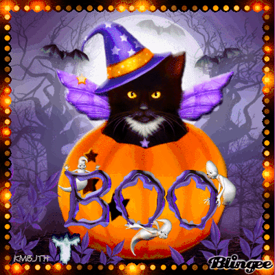 Boo Cat Fairy Animated Image Pictures, Photos, and Images for Facebook ...
