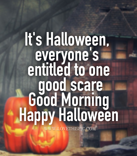 It's Halloween, Everyone's Entitled To One Good Scare Pictures, Photos ...