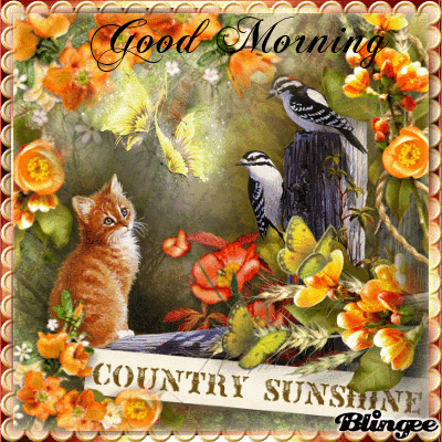 Country Sunshine Good Morning Pictures, Photos, and Images for Facebook ...