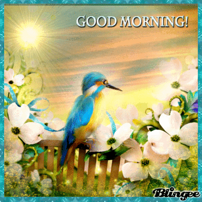 Sunny Birdy Good Morning Gif Pictures, Photos, and Images for Facebook ...