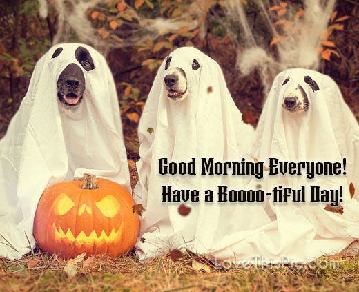 Have A Boooo-tiful Day Pictures, Photos, and Images for Facebook ...