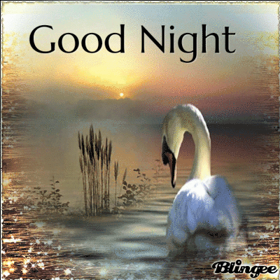 Swan Good Night Pictures, Photos, and Images for Facebook, Tumblr ...