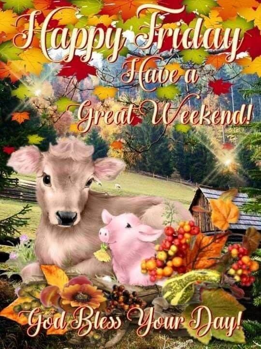 Cow & Pig Happy Friday Pictures, Photos, and Images for Facebook ...