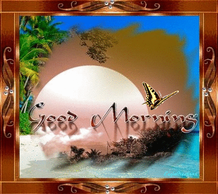 Flying Butterfly Good Morning Quote Pictures, Photos, and Images for ...