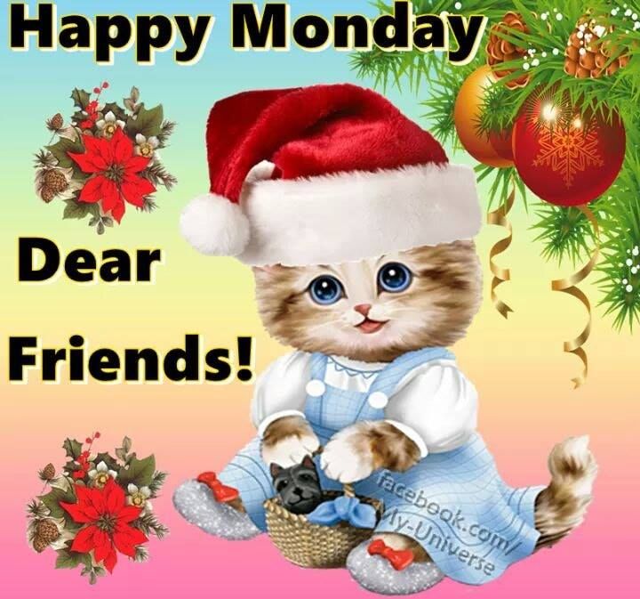 Santa Kitty Happy Monday Quote Pictures, Photos, and Images for ...