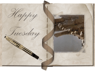 Flying Bird Happy Tuesday Quote Pictures, Photos, and Images for ...