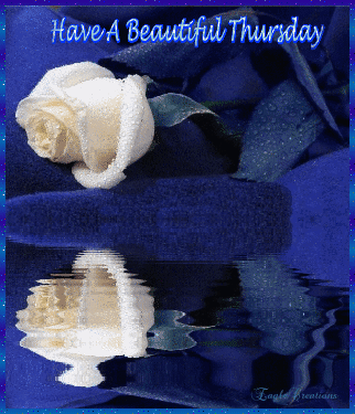 White Rose Beautiful Thursday Pictures, Photos, and Images for Facebook ...