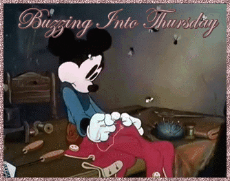 Buzzing Into Thursday Pictures, Photos, and Images for Facebook, Tumblr ...