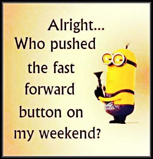 Alright Who Pushed The Fast Forward Button On My Weekend Pictures ...
