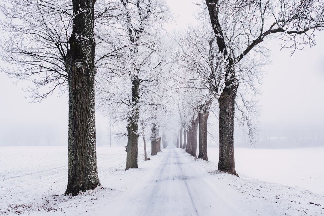 Snowy Pathway Pictures, Photos, and Images for Facebook, Tumblr ...