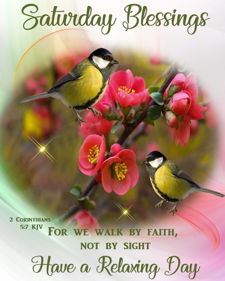 Relaxing Saturday Pictures, Photos, and Images for Facebook, Tumblr ...