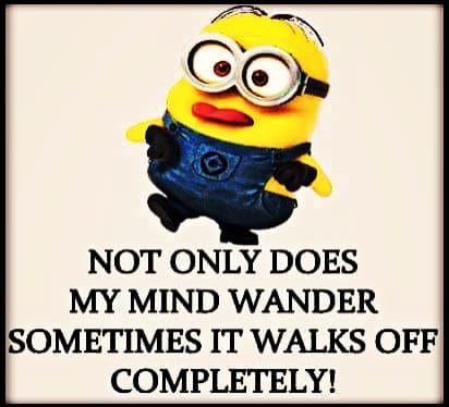 Not Only Does My Mind Wander Sometimes, It Walks Off Completely ...