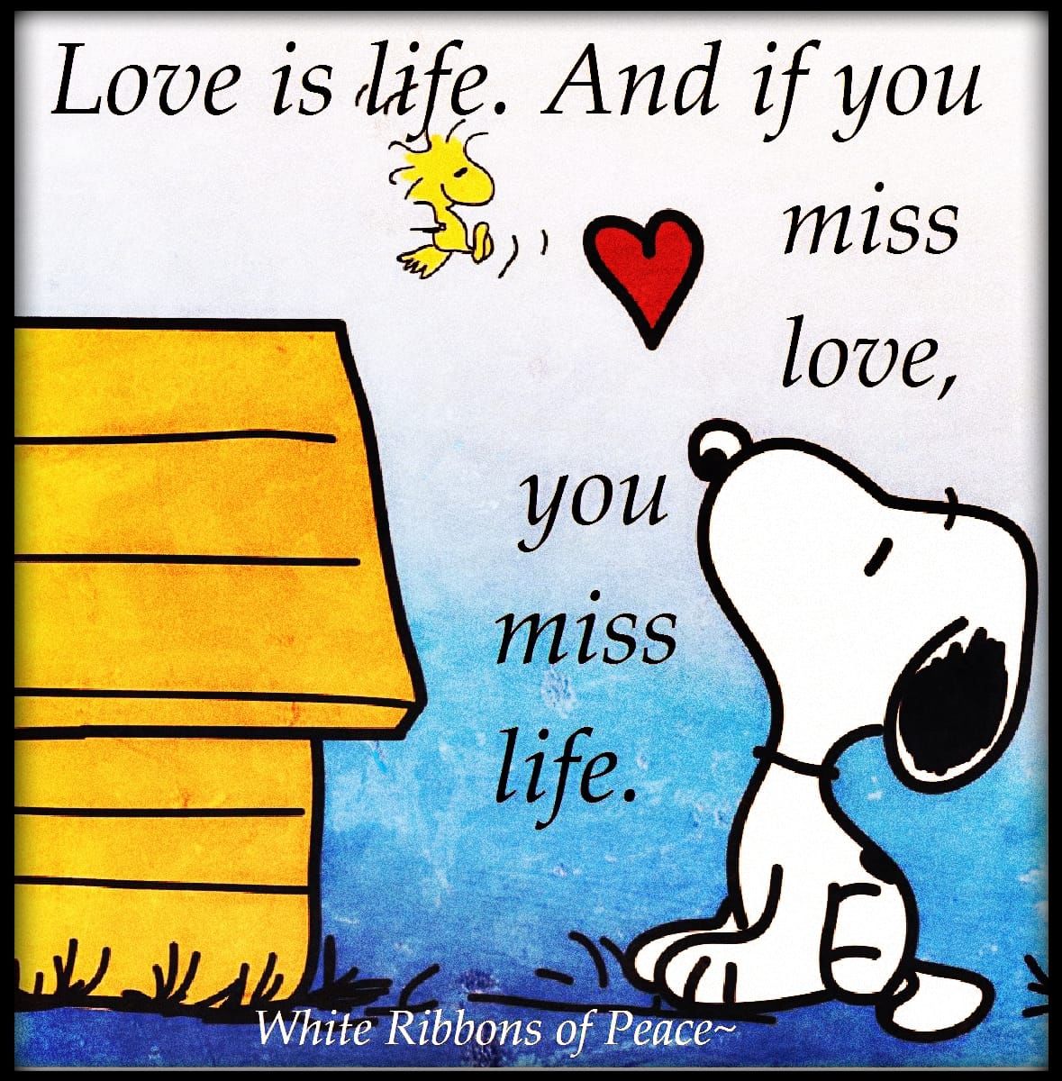 Love Is Life. And If You Miss Love, You Miss Life Pictures, Photos, and ...
