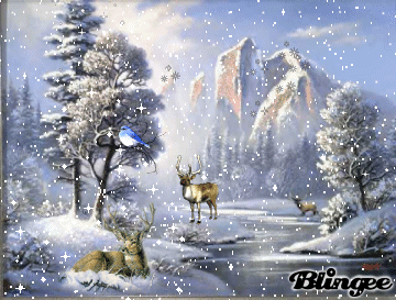 Deer In Winter Pictures, Photos, and Images for Facebook, Tumblr ...