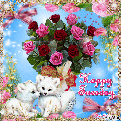 White Wolf Happy Tuesday Pictures, Photos, and Images for Facebook ...