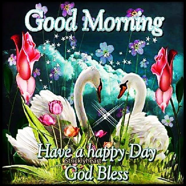 Happy Day Good Morning Pictures, Photos, and Images for Facebook ...