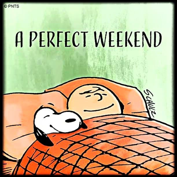 A Perfect Weekend Pictures, Photos, and Images for Facebook, Tumblr ...
