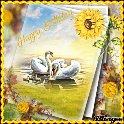 Two Dove Happy Birthday Gif Pictures, Photos, and Images for Facebook ...