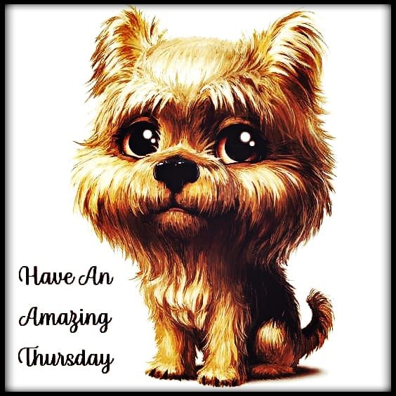 Puppy Amazing Thursday Pictures, Photos, and Images for Facebook ...