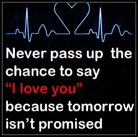 Never Pass Up The Chance To Say I Love You Pictures, Photos, and Images ...