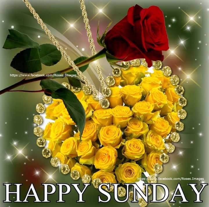 Happy Sunday Pictures, Photos, and Images for Facebook, Tumblr ...