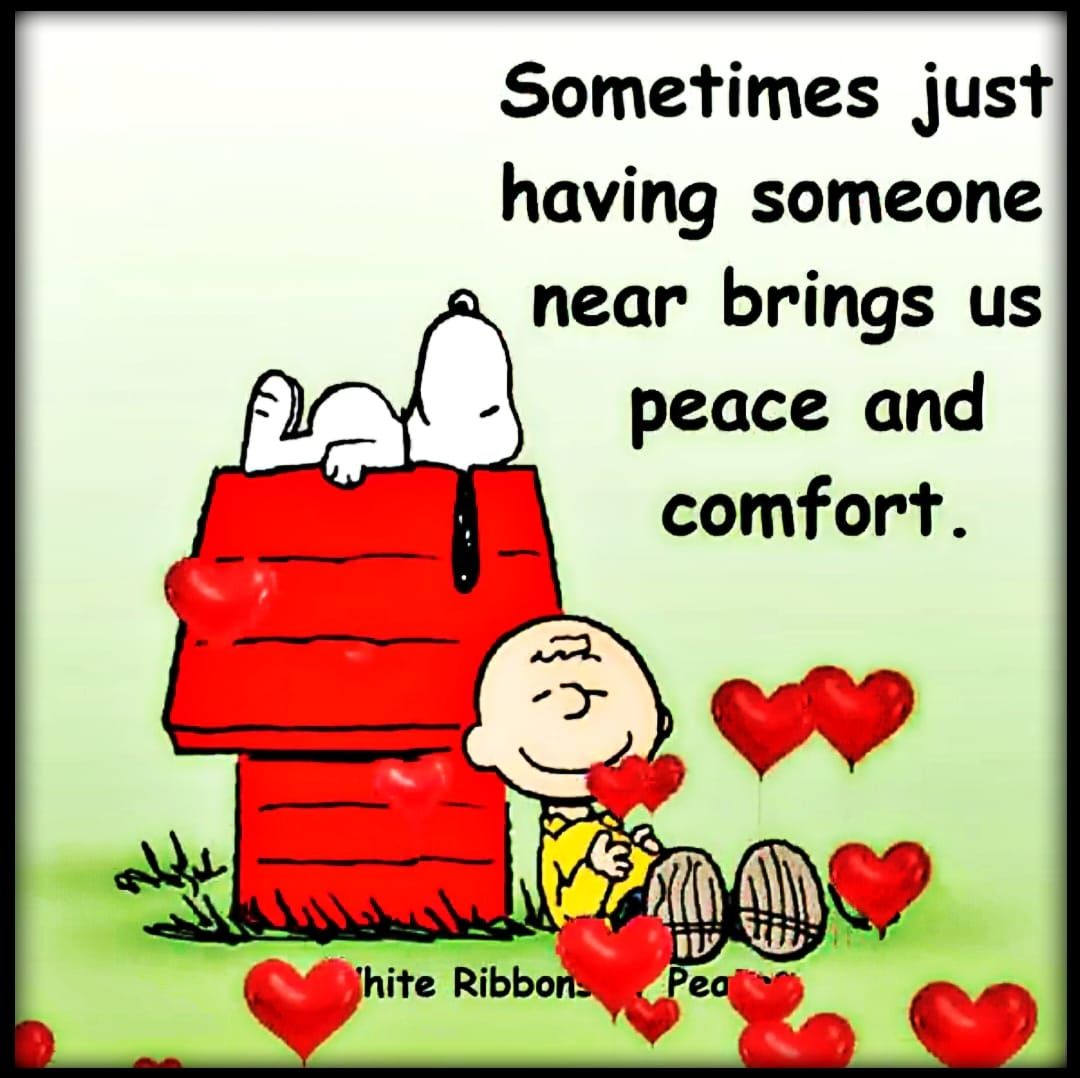 Sometimes Just Having Someone Near Brings Us Peace And Comfort Pictures ...
