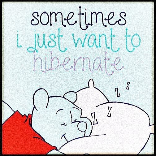 Sometimes I Just Want To Hibernate Pictures, Photos, and Images for ...