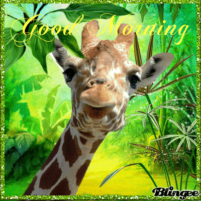Giraffe Good Morning Gif Pictures, Photos, and Images for Facebook ...