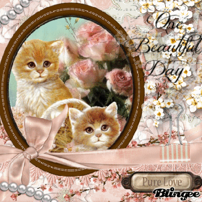 One Beautiful Day Pictures, Photos, and Images for Facebook, Tumblr ...