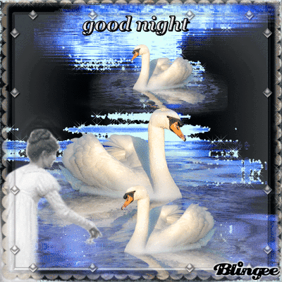 Good Night Swans Pictures, Photos, and Images for Facebook, Tumblr ...