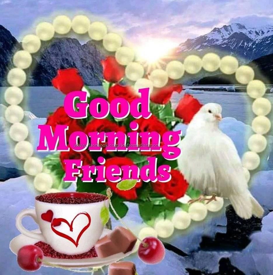 Pearl Heart Good Morning Friends Quote Pictures, Photos, and Images for ...