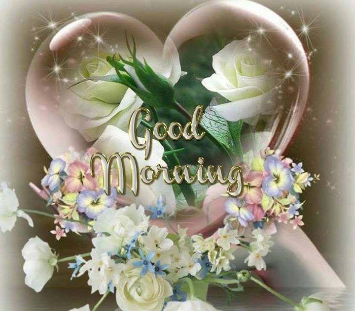Flowery Good Morning Image Pictures, Photos, and Images for Facebook ...