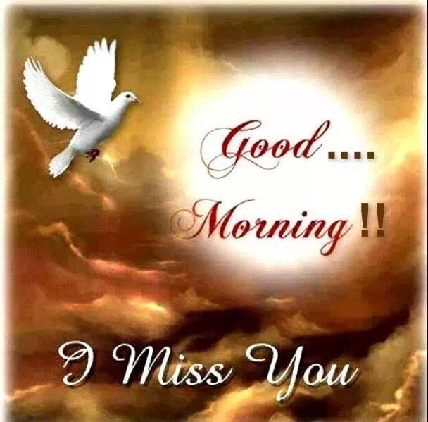 Good Morning I Miss You Images